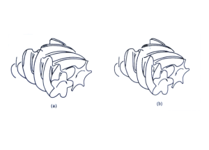 What is The Working Principle of a Screw Air Compressor?-Elang